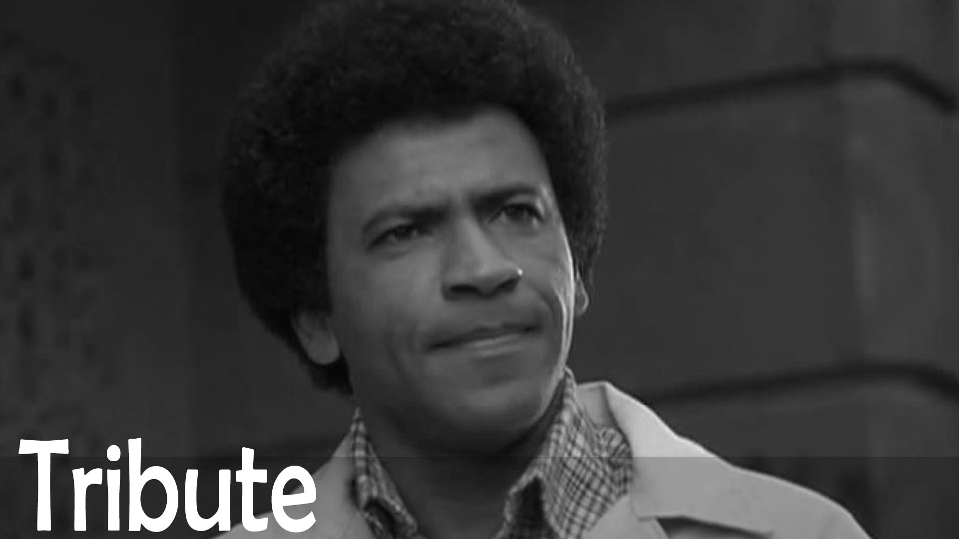 Austin Stoker Biography